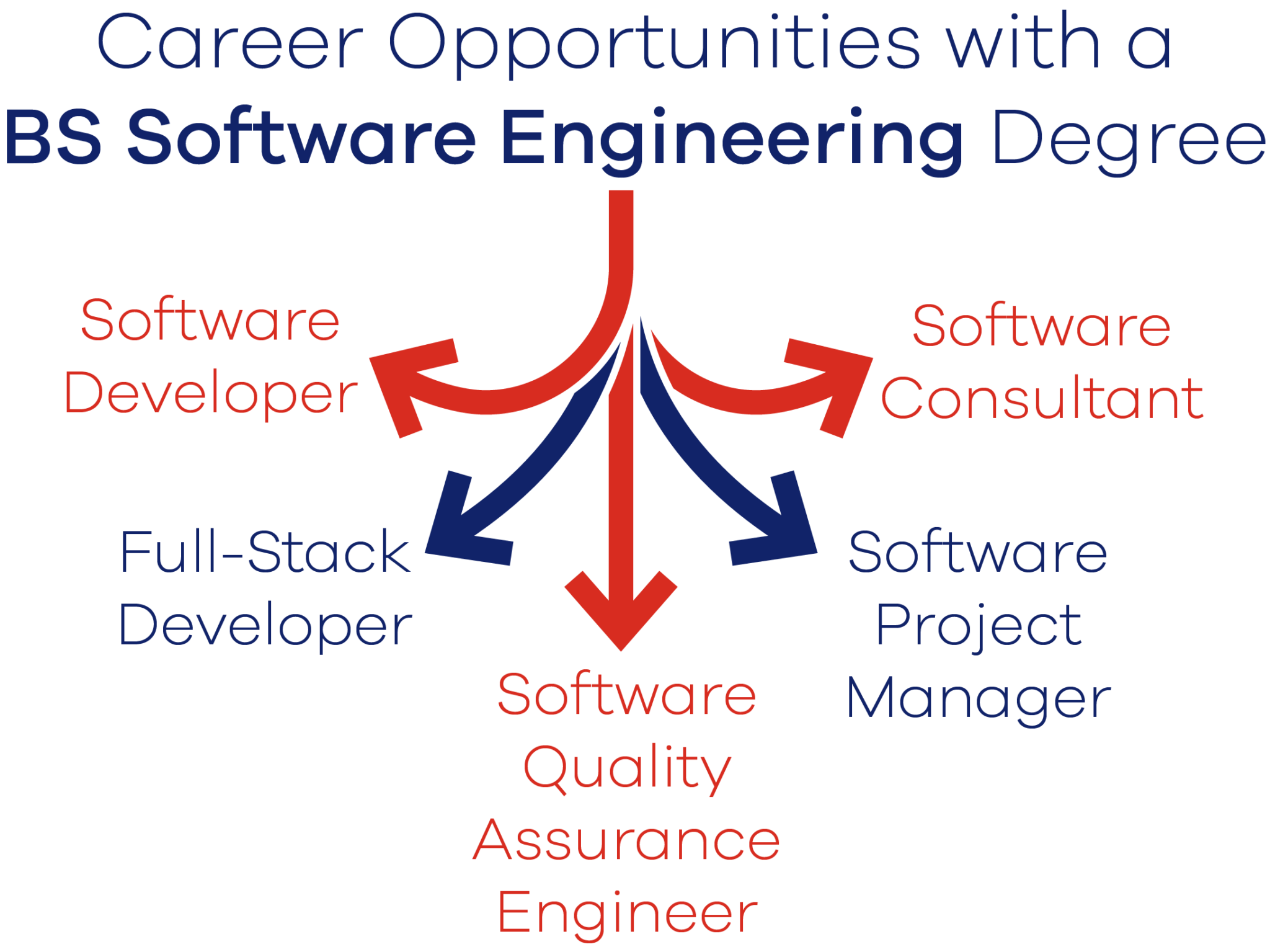 BS Software Engineering: Scope and Career Opportunities - Muhammad Ali ...